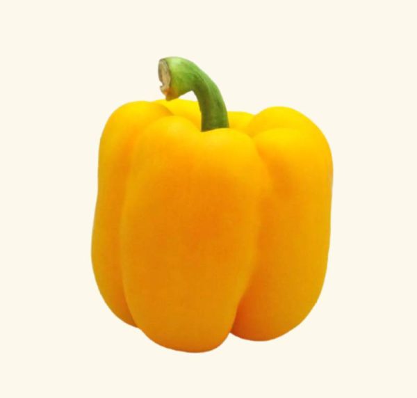 Dyrke Paprika - 5 Gode Dyrketips
