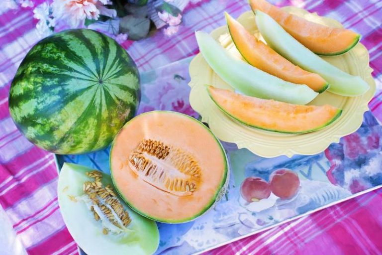 Dyrke Melon